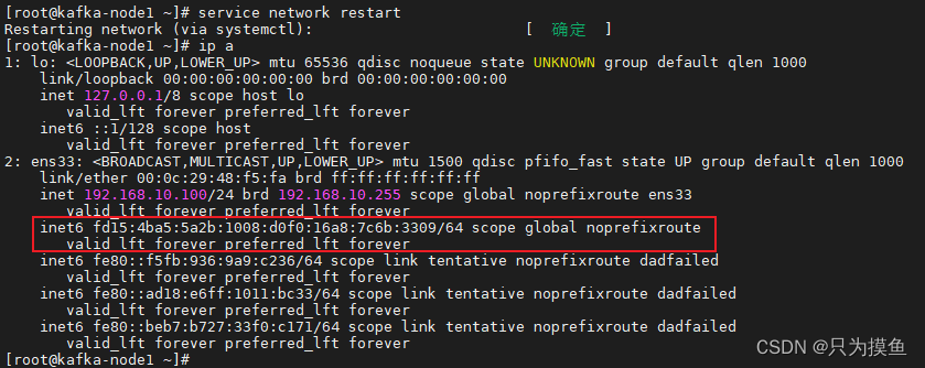 虚拟机linux设置IPv6地址_宿主机ipv4,虚拟机如何配置ipv6-CSDN博客
