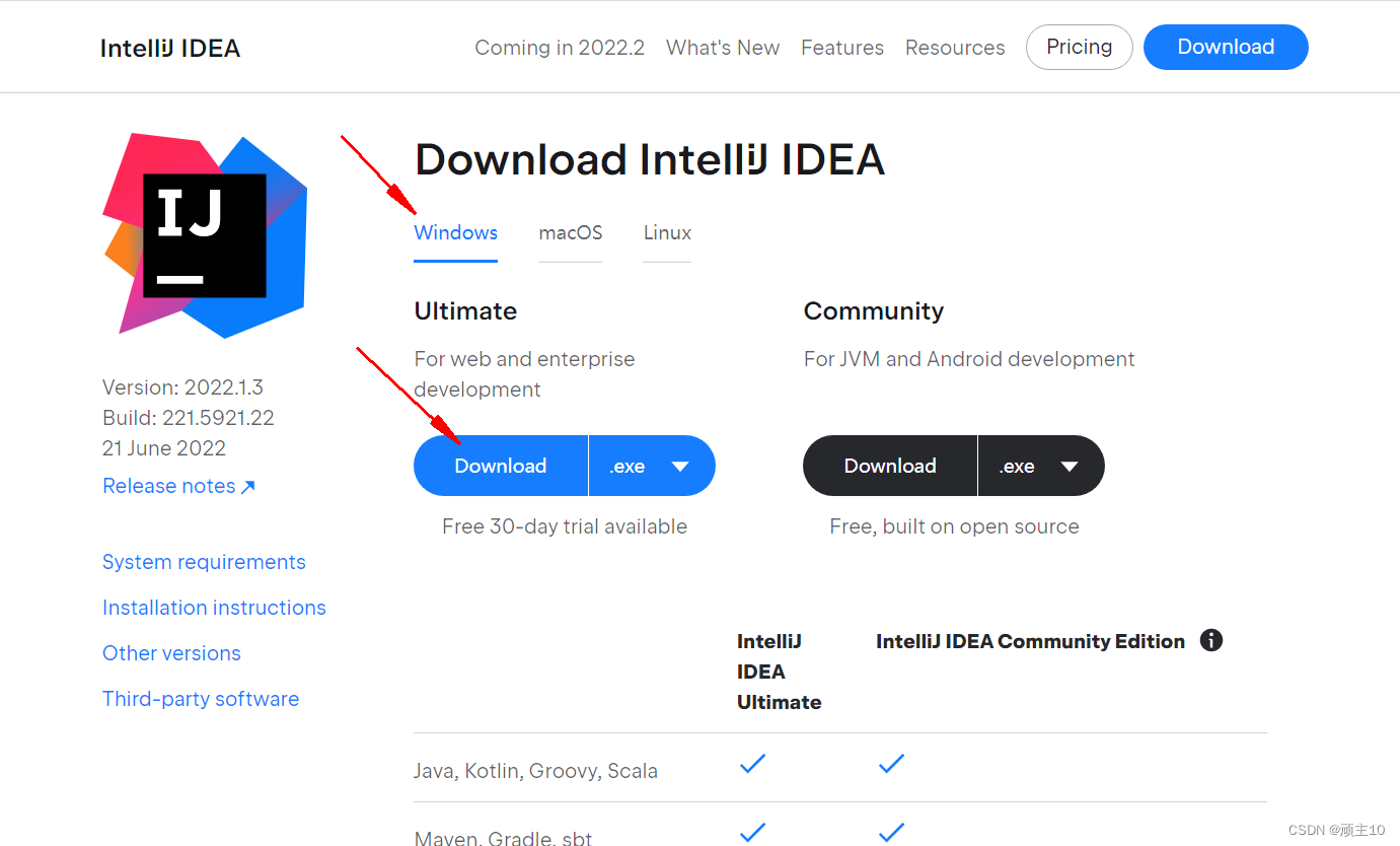 JDK环境配置 + IDEA的安装 (Java小白入门必备)_idea配置jdk11-CSDN博客