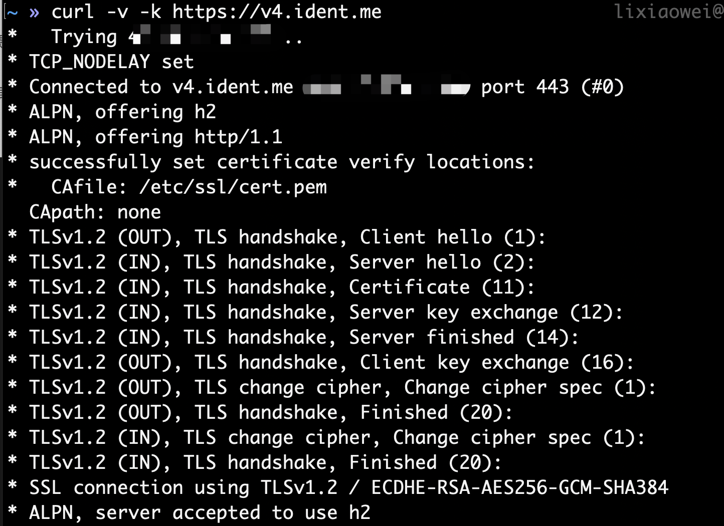 curl 常用命名整理_curl 显示报文-CSDN博客
