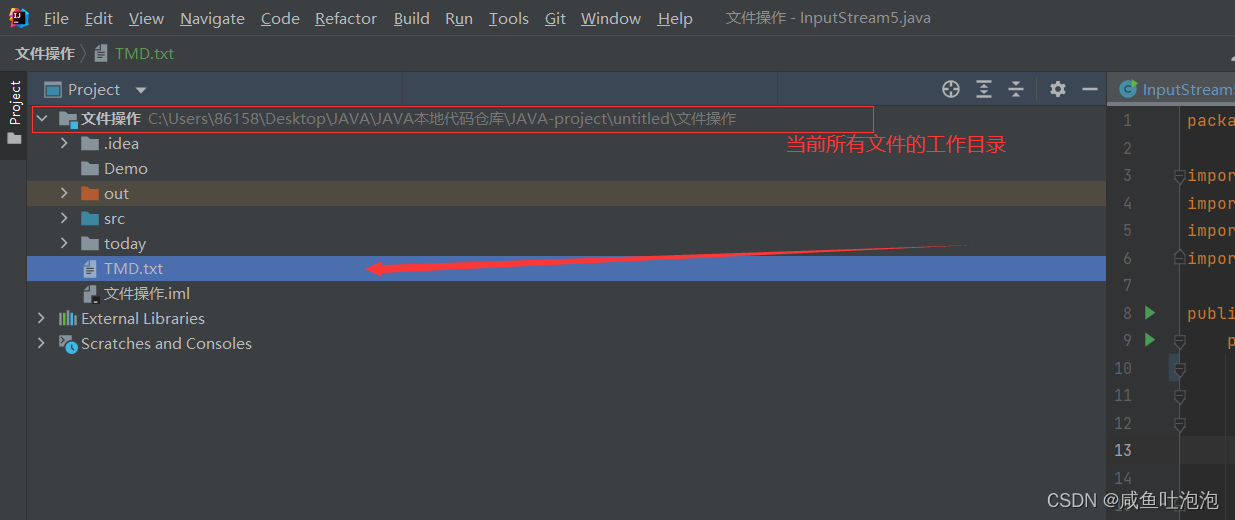 Java中的文件操作java Read Csdn博客
