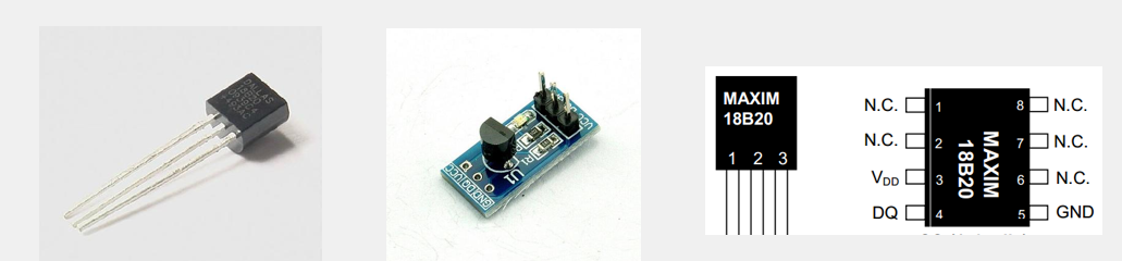 51单片机DS18B20（单总线）温度读取_ds18b20读取温度-CSDN博客