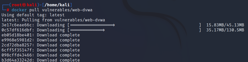 kaliLinux下docker的安装与dvwa靶场搭建_kali拉取并下载dvwa靶场-CSDN博客
