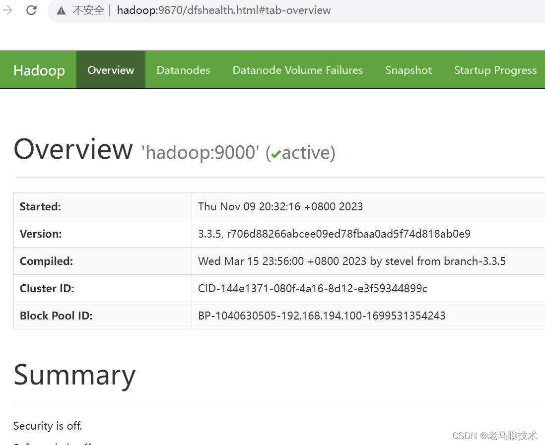 Hadoop单机模式Local(Standalone)模式-CSDN博客