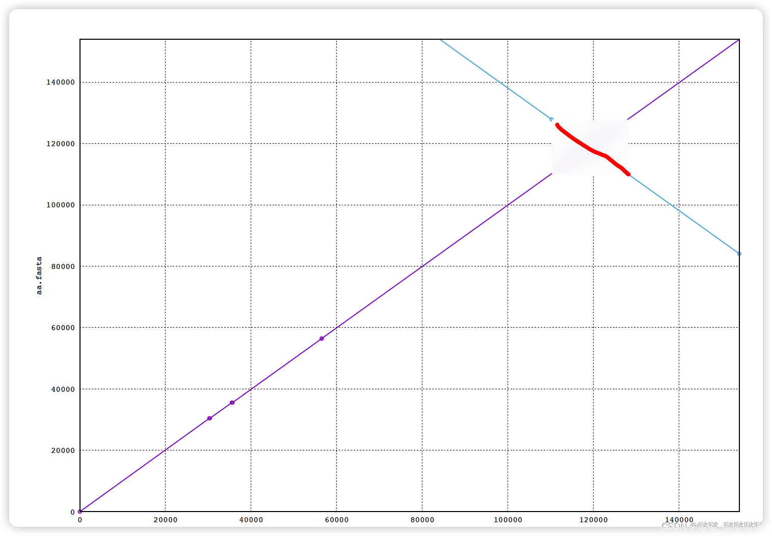 叶绿体基因组共线性分析与四分体结构鉴定_叶绿体ssc组装方向是反的-CSDN博客