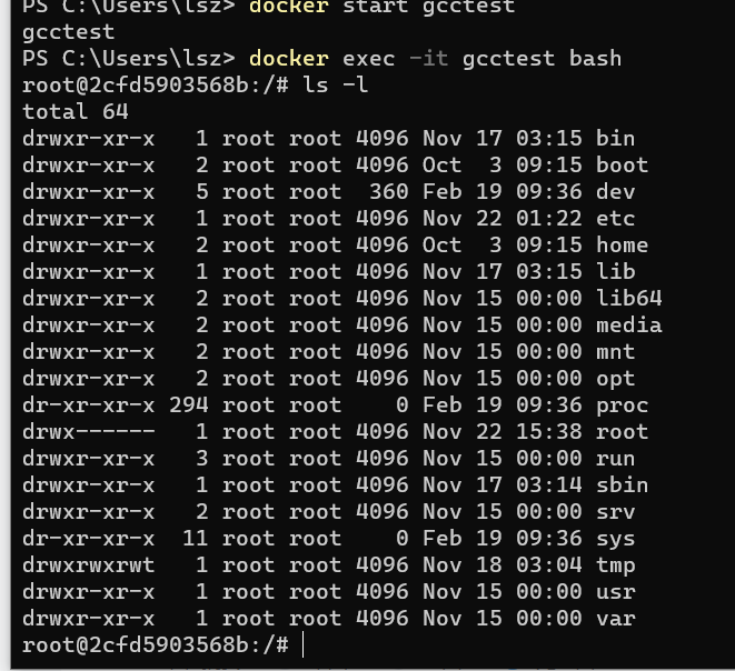 powershell 运行 Docker 上镜像_powershell 执行docker-CSDN博客