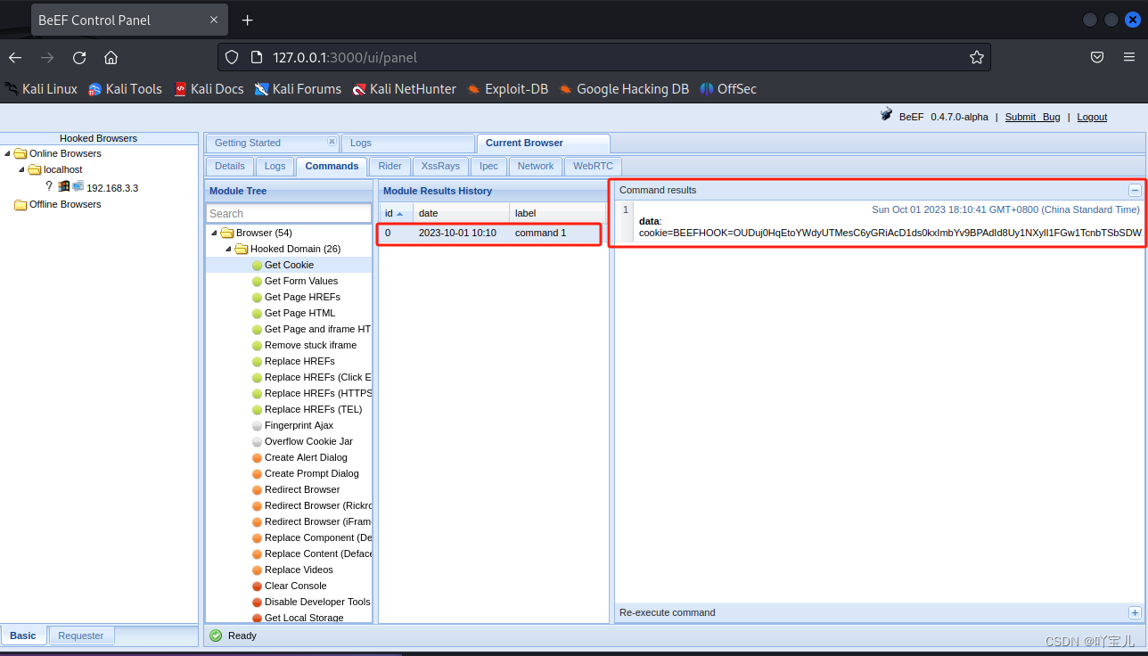 Beef-Xss 浏览器攻击框架的使用_docker安装beef-xss-CSDN博客