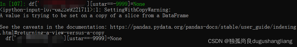 SettingWithCopyWarning：A value is trying to be set on a copy of a slice from a DataFrame-CSDN博客