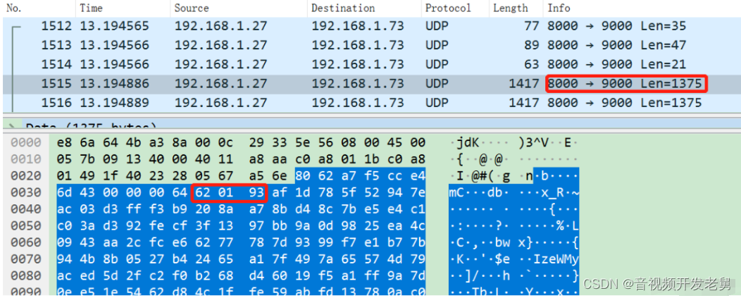 实现H.265的RTP的封装及传输_h265.pcap-CSDN博客
