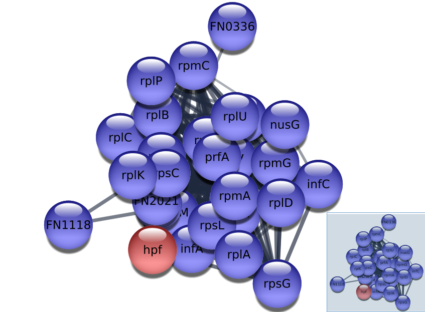 非模生物STRING结合cytoscape进行PPI画图_cytoscape添加图例-CSDN博客