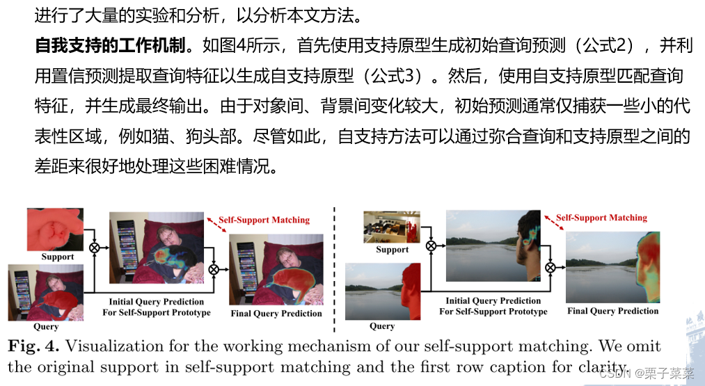 【小样本分割】Self-Support Few-Shot Semantic Segmentation-CSDN博客