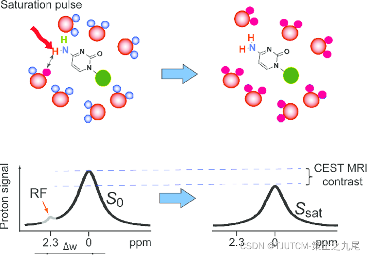 MRI原理与CEST相关简介_cest mri-CSDN博客