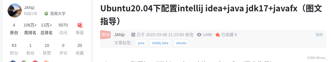 【保姆级别详细】Ubuntu 20.04安装jdk+idea_ubuntu 22.04 安装jdk9-CSDN博客