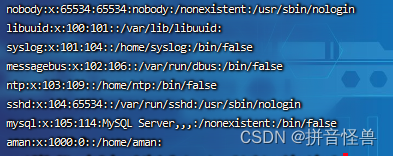 BugKu -- PRA -- 应急加固1_bugku应急加固1-CSDN博客