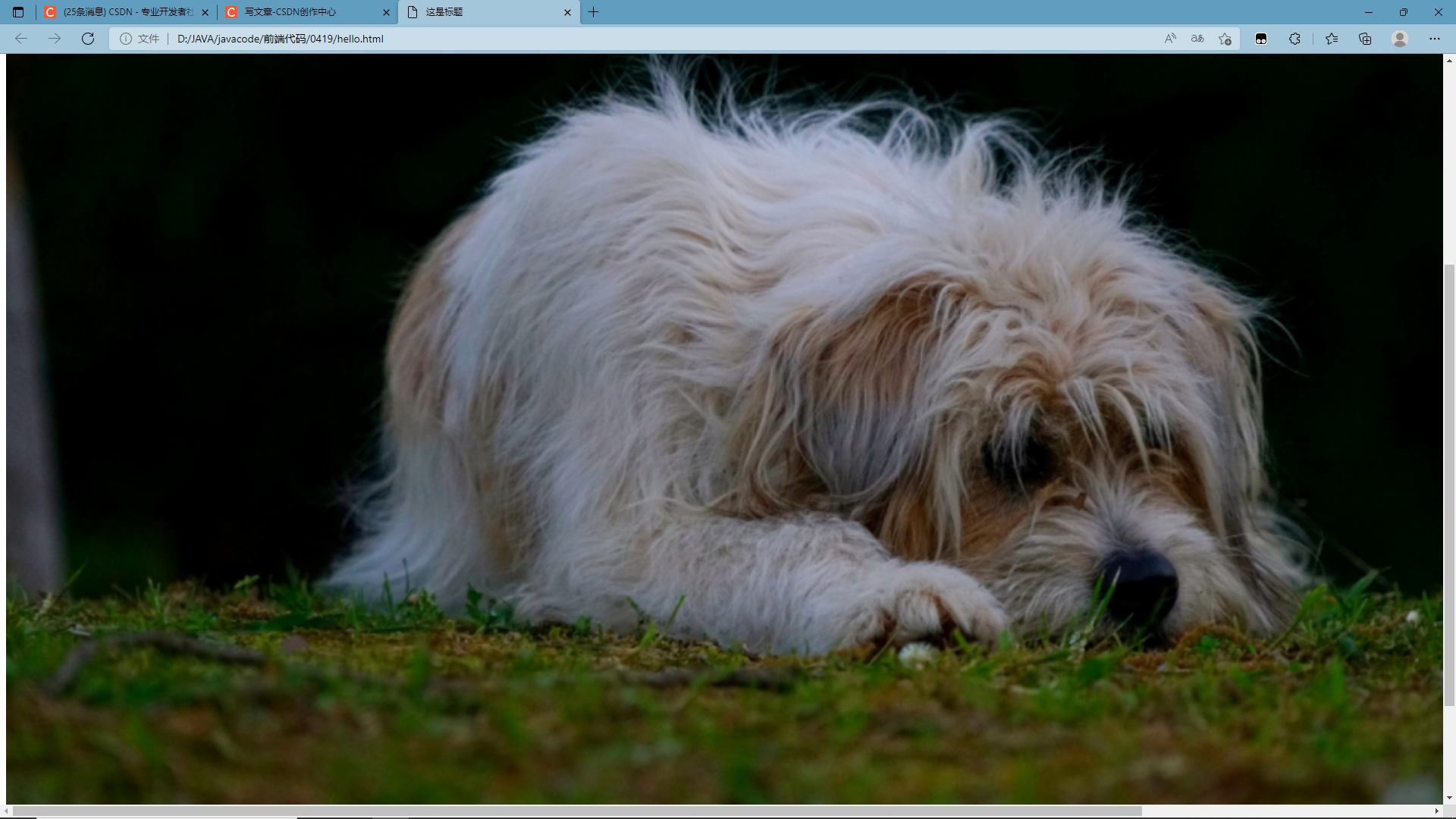 初学HTML详细全过程_小白如何写一个html网页?-CSDN博客
