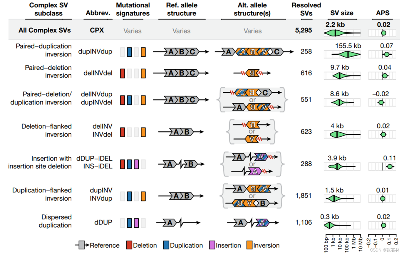 人基因组重测序系列 - 1.人基因组简介_human mutation-CSDN博客