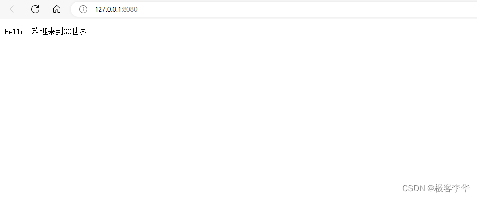 GoLand创建Gin项目_goland新建项目-CSDN博客