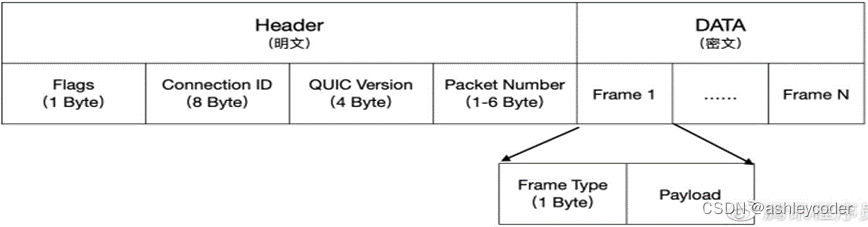 通过抓包看quic定义的包结构_quic抓包分析-CSDN博客
