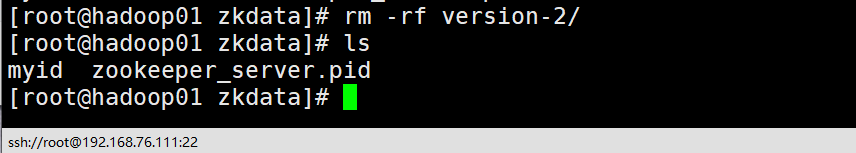Zookeeper节点数据备份与恢复_两备份节点如何回复-CSDN博客