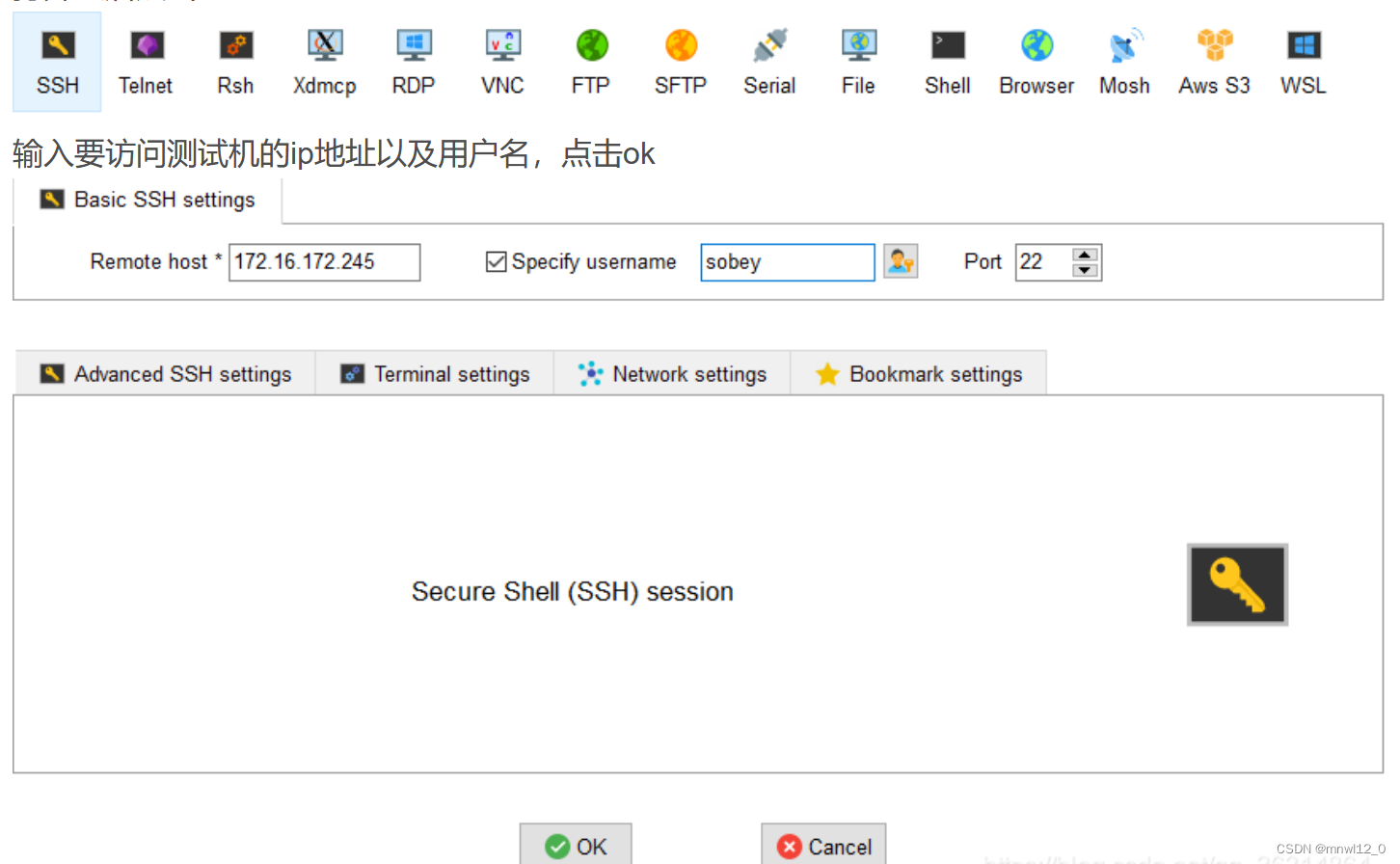 建立DBeaver数据库和查看每次运行的日志moba Xterm_dbeaver查看执行日志-CSDN博客
