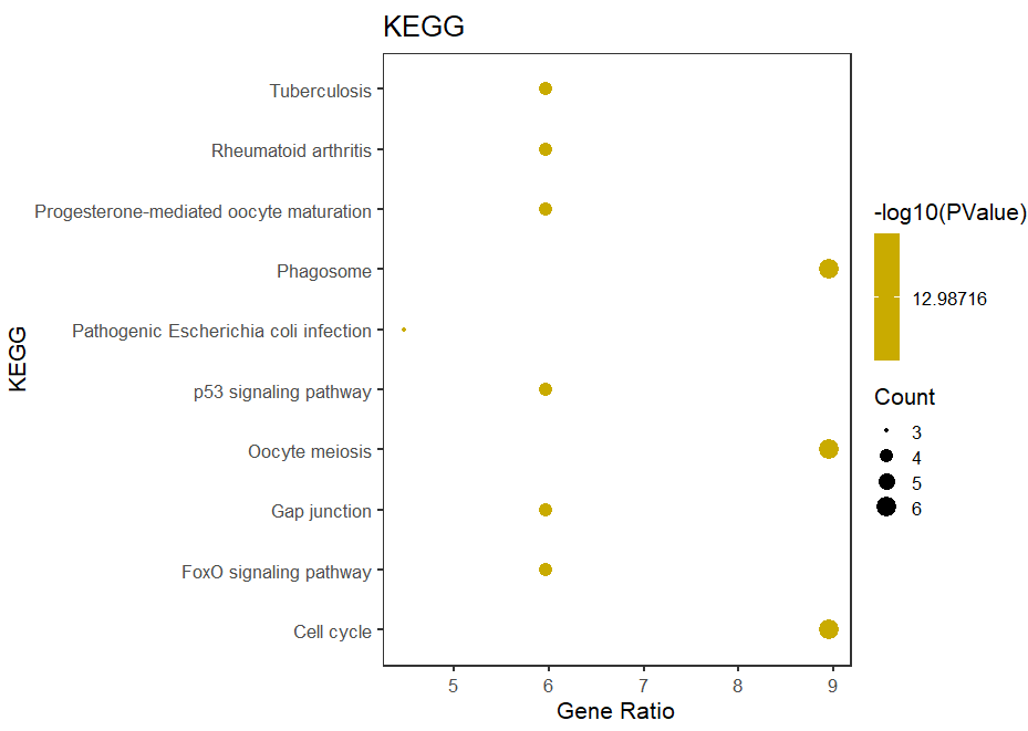 R语言零基础基因/数据差异分析-KEGG/MF/CC/BP分析（五）_差异脂质kegg r语言-CSDN博客