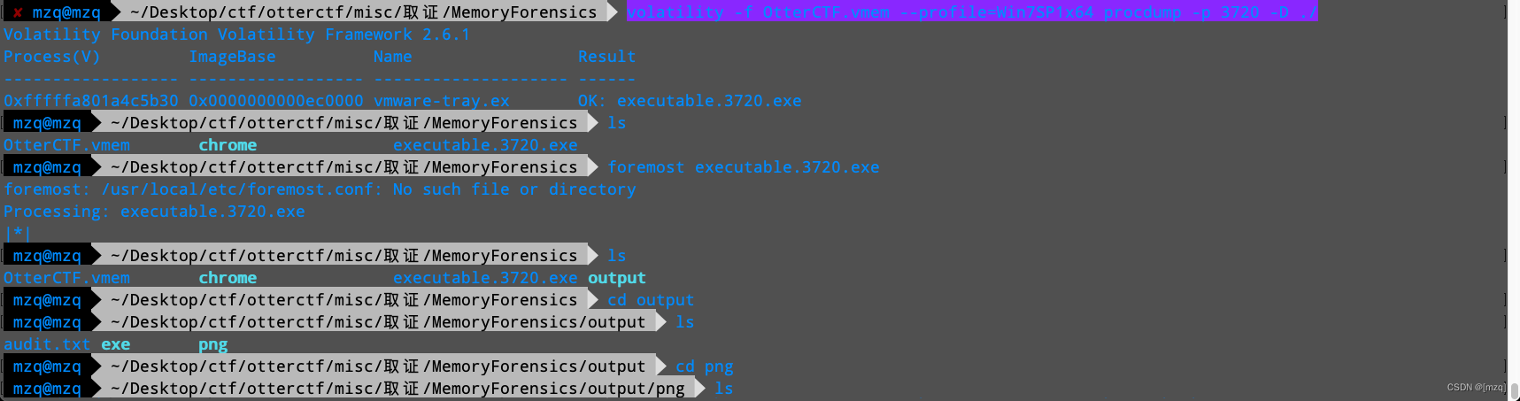 Memory Forensics (内存取证)_内存取证memfs-CSDN博客