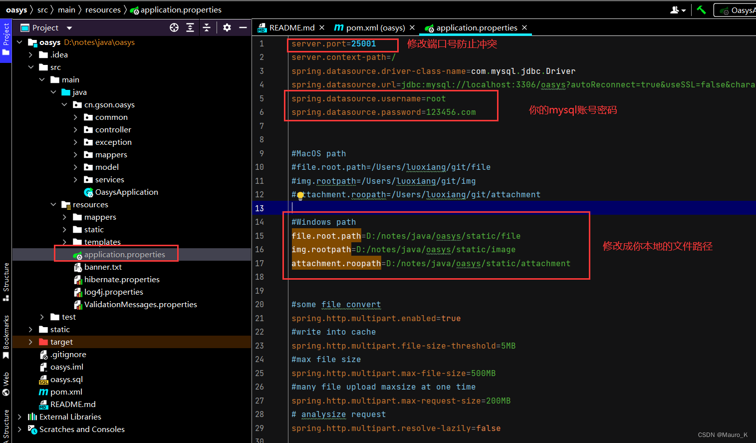 代码审计之oasys系统_oasys部署教程-CSDN博客