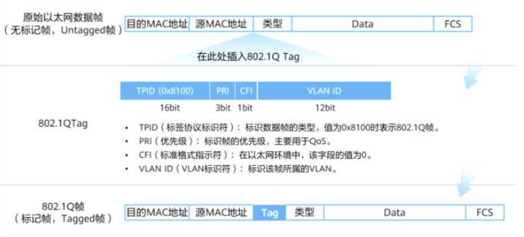 HCIP --- 交换基础_海康交换机的pvid设为多少-CSDN博客