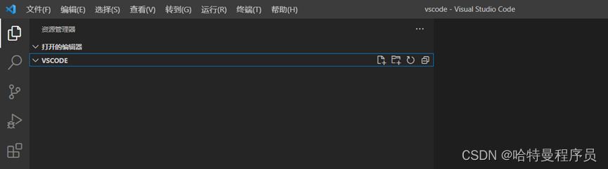 VSCODE安装及设置_vscodeusersetup-CSDN博客