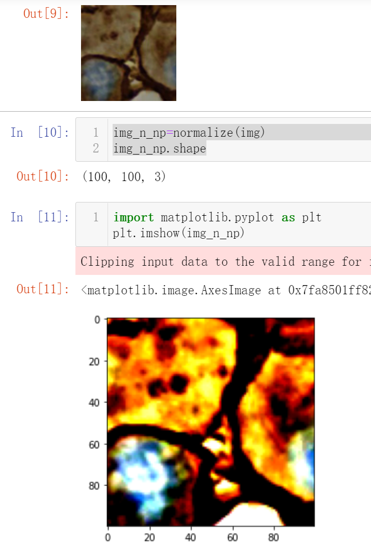 python图像标准化_python numpy对图片做标准化-CSDN博客