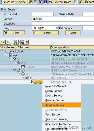 SAP 如何启用WEBGUI_sap webgui-CSDN博客