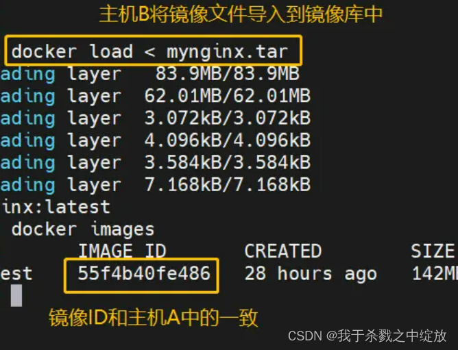 Docker基本原理和镜像管理命令_docker 镜像管理命令详解-CSDN博客