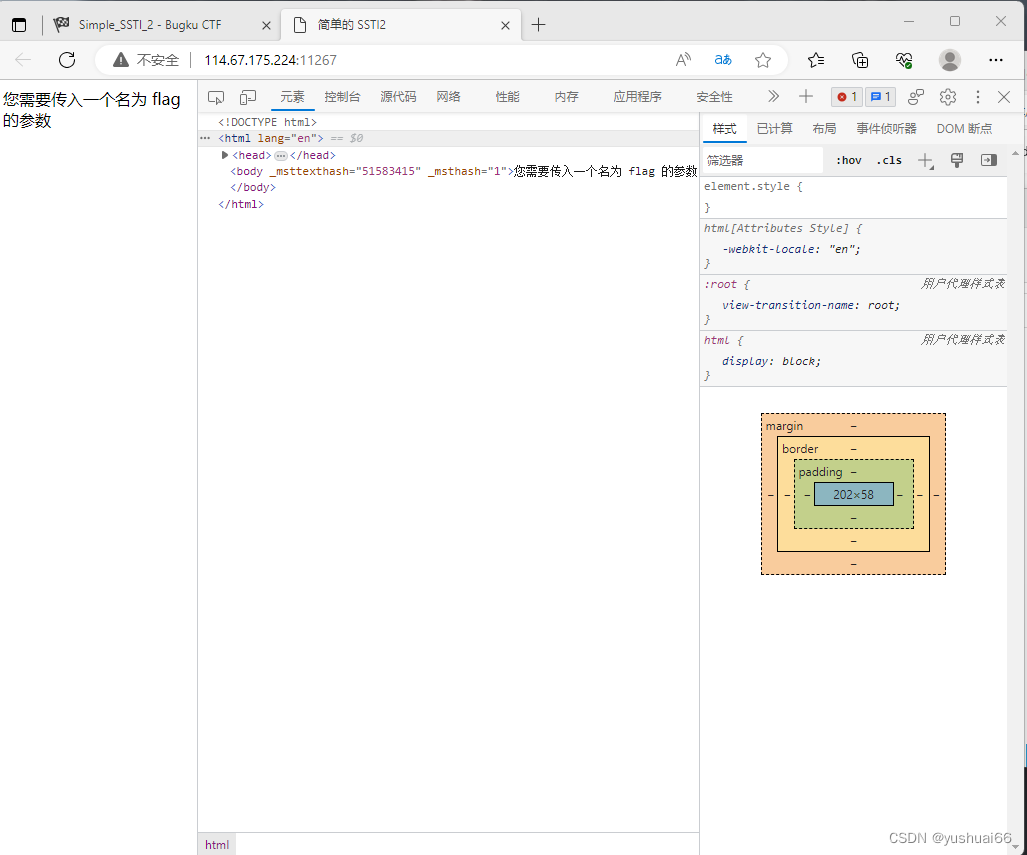 Simple Ssti 1和2（ssti模板注入） Ssti2 Csdn博客