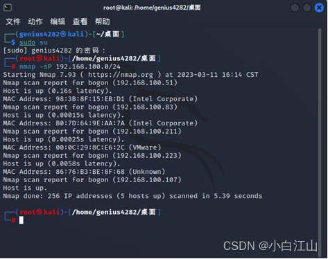 WebDeveloper内网渗透流程（新手流程梳理）_有webconfig如何渗透-CSDN博客