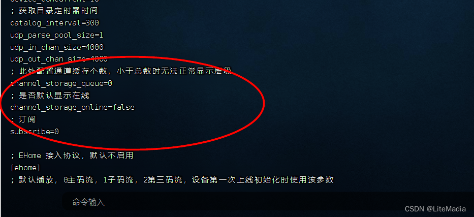 国标EHOME视频平台LiteCVR默认在线设备通道配置如何进行-CSDN博客