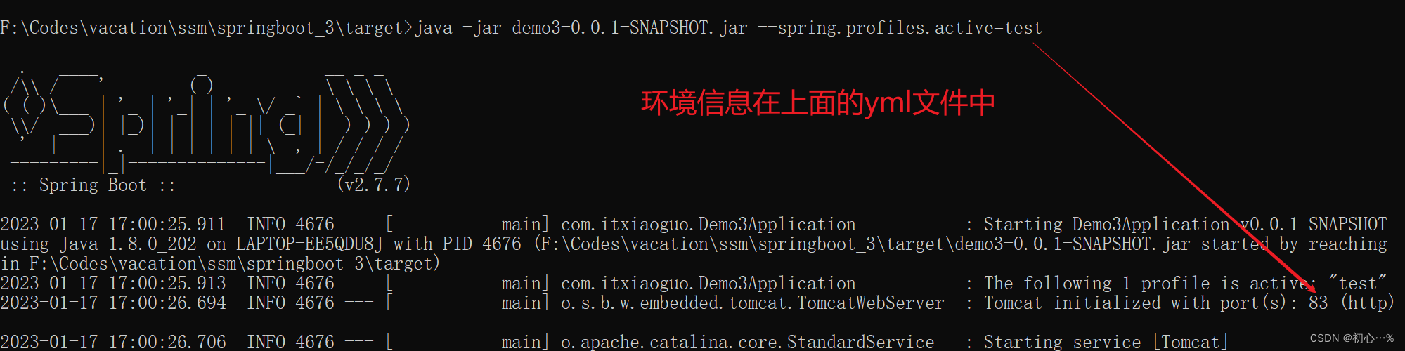 【SpringBoot】快速入门_spring boot快速入门-CSDN博客