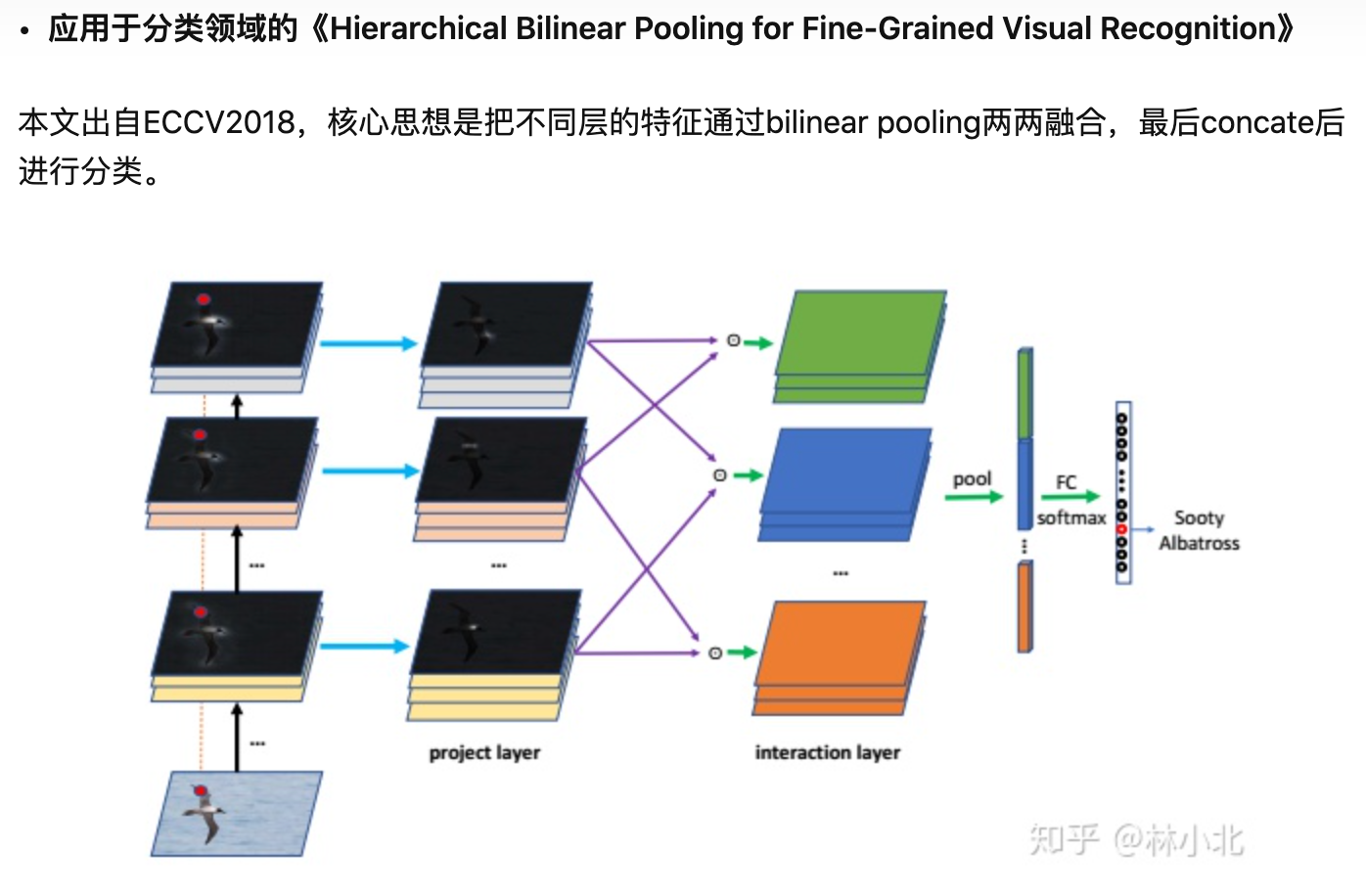 双线性池化、 MLB(Multimodal Low-rank Bilinear Pooling)、MCB(Multimodal Compact Bilinear Pooling)-CSDN博客