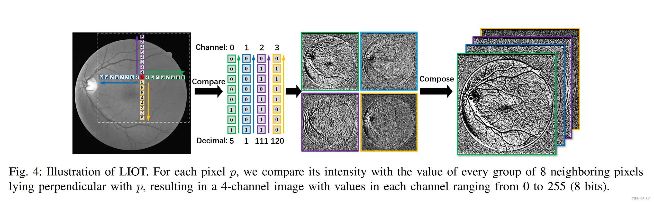 Local Intensity Order Transformation for Robust Curvilinear Object Segmentation(LIOT)-CSDN博客
