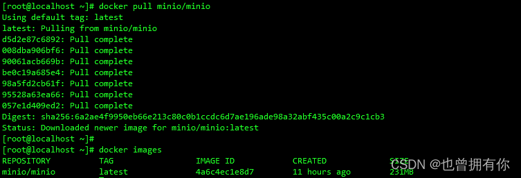 Docker安装Minio_incorrect usage: the flag option --docker-image, --CSDN博客