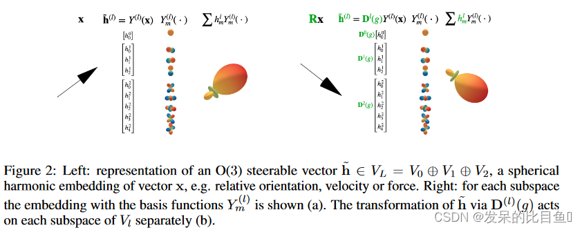 2022-ICLR-Geometric and Physical Quantities Improve E(3) Equivariant Message Passing_steerable ...