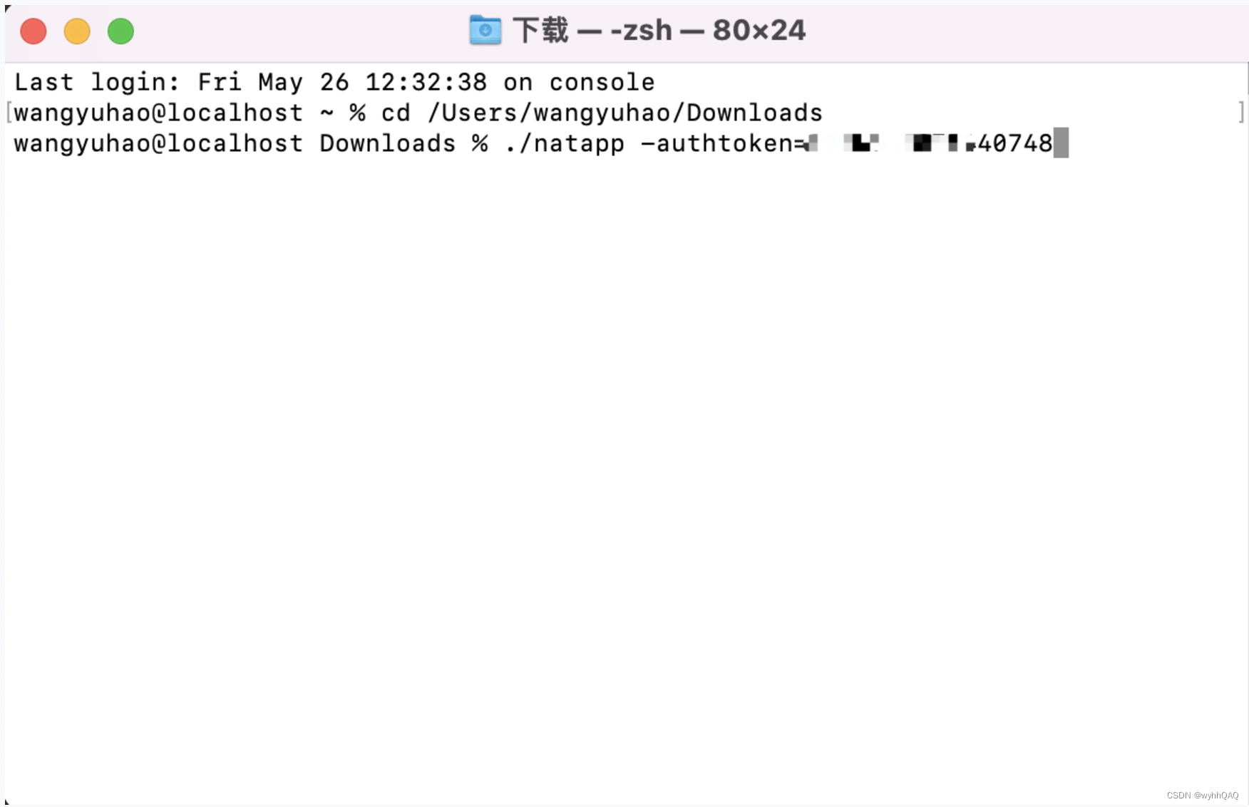 Springboot整合支付宝沙箱支付，保姆级教程。_springboot 沙箱 保姆-CSDN博客