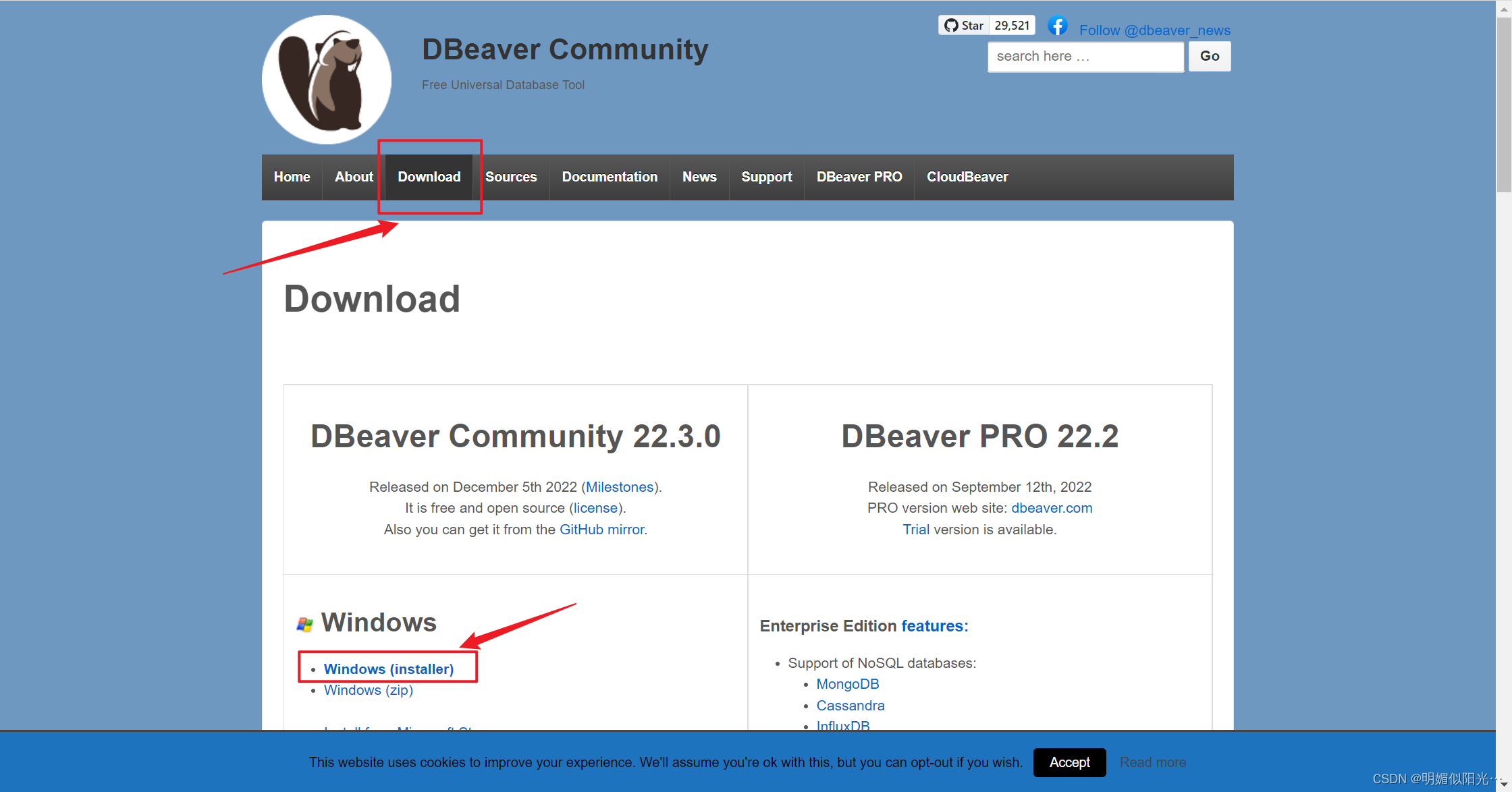 dbeaver的安装和使用_dbeaver收费吗-CSDN博客