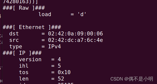 Lab1 Packet Sniffing and Spoofing Lab-CSDN博客