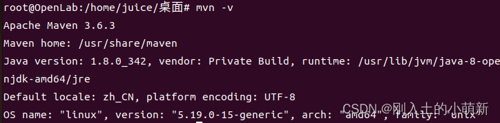 Opendaylight安装-CSDN博客