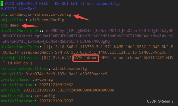 Ldap自定义Schema_openldap 自定义schema-CSDN博客