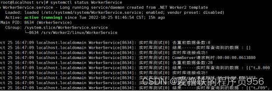 WorkerService部署操作流程(Linux详细版)_worker service linux-CSDN博客