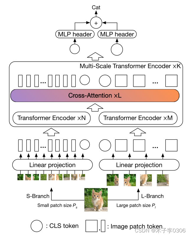 CrossViT: Cross-Attention Multi-Scale Vision Transformer for Image ...