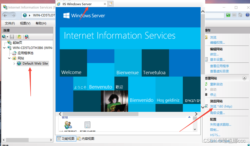 简易搭建iis&apache2&nginx_windows nginx apache工具包-CSDN博客
