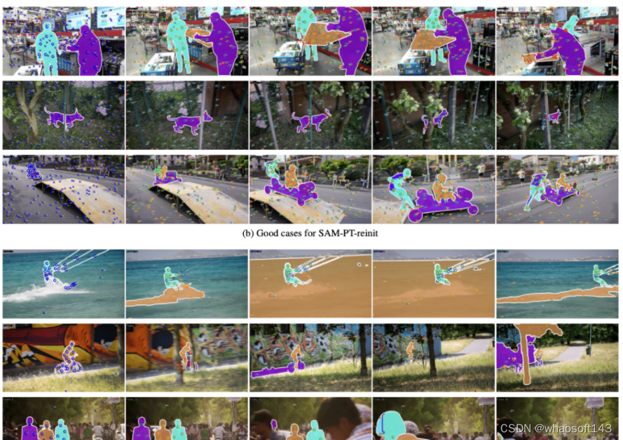 sampt_sam-pt csdn-CSDN博客