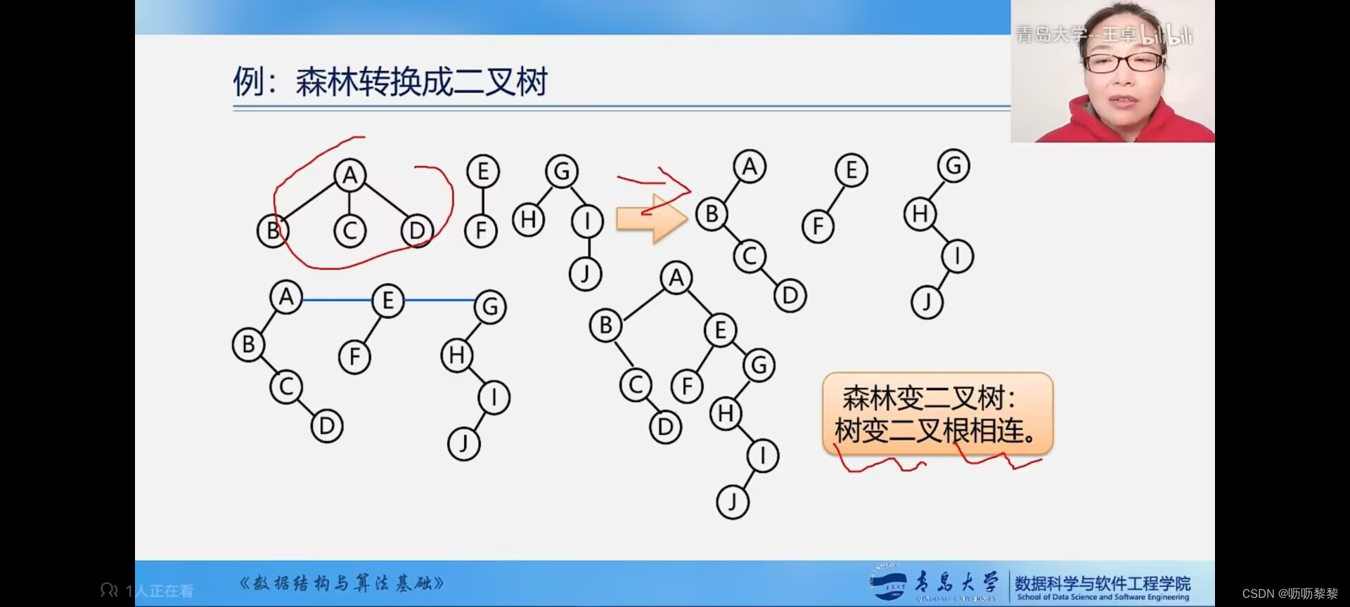 数据结构——python 005 树和二叉树_编程题实训-树和二叉树python版-CSDN博客